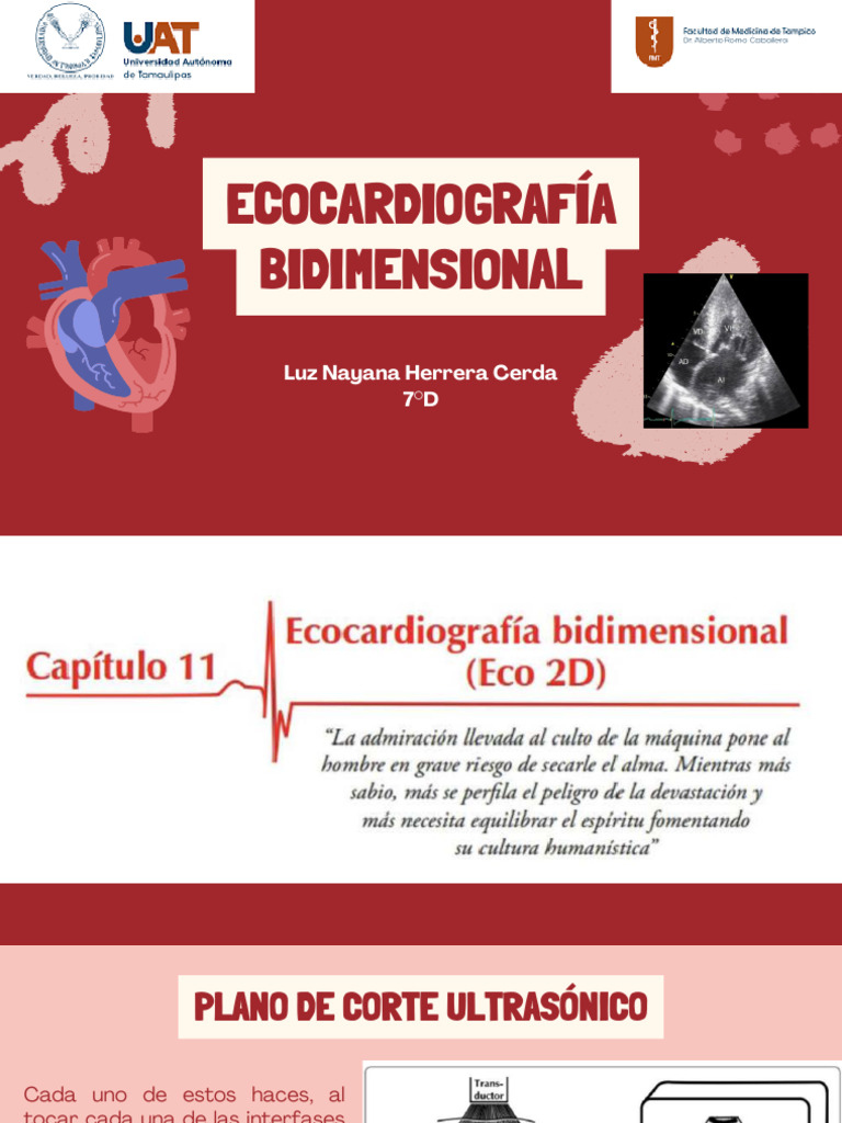 Ecocardiografía Bidimensional: Fundamentos y Aplicaciones | PDF ...