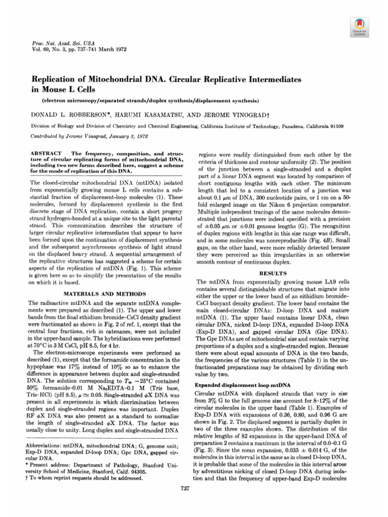 Robberson Et Al Replication of Mitochondrial Dna Circular Replicative ...