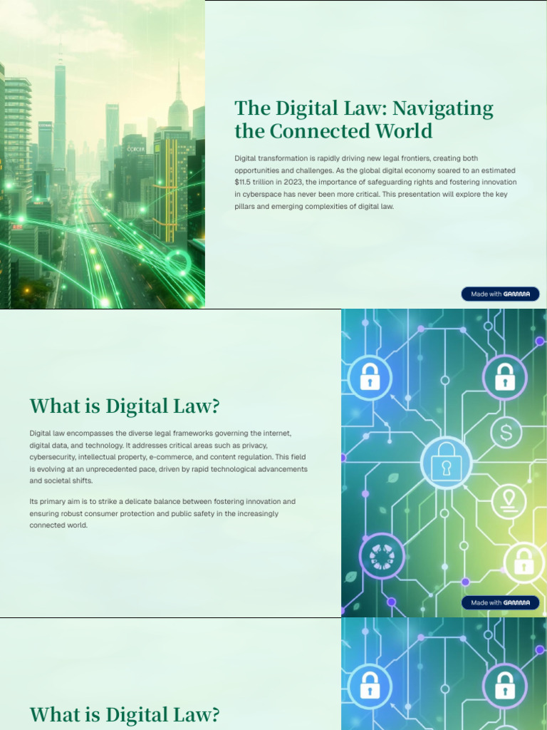 Understanding Digital Law Essentials | PDF | Computer Security | Security