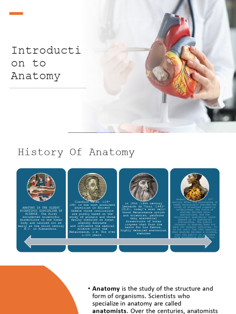 CHAPTER 1 Introduction To Anatomy - Updated1 | PDF | Anatomy ...
