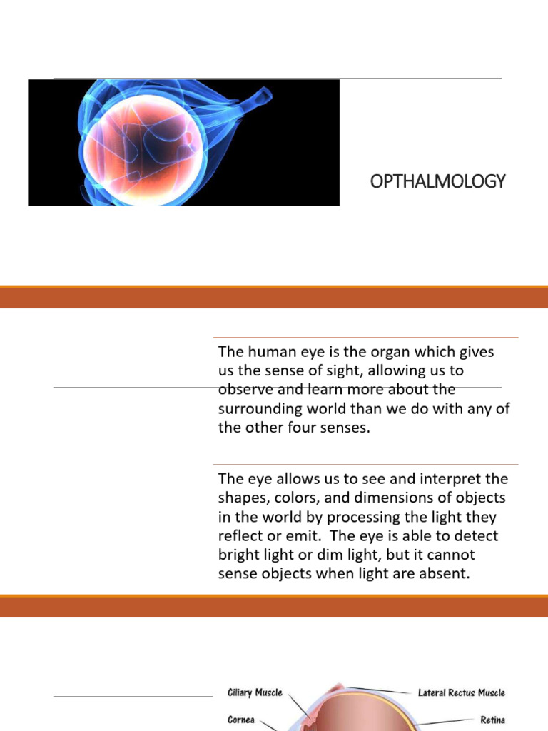 Understanding Human Eye Anatomy | PDF | Eye | Retina