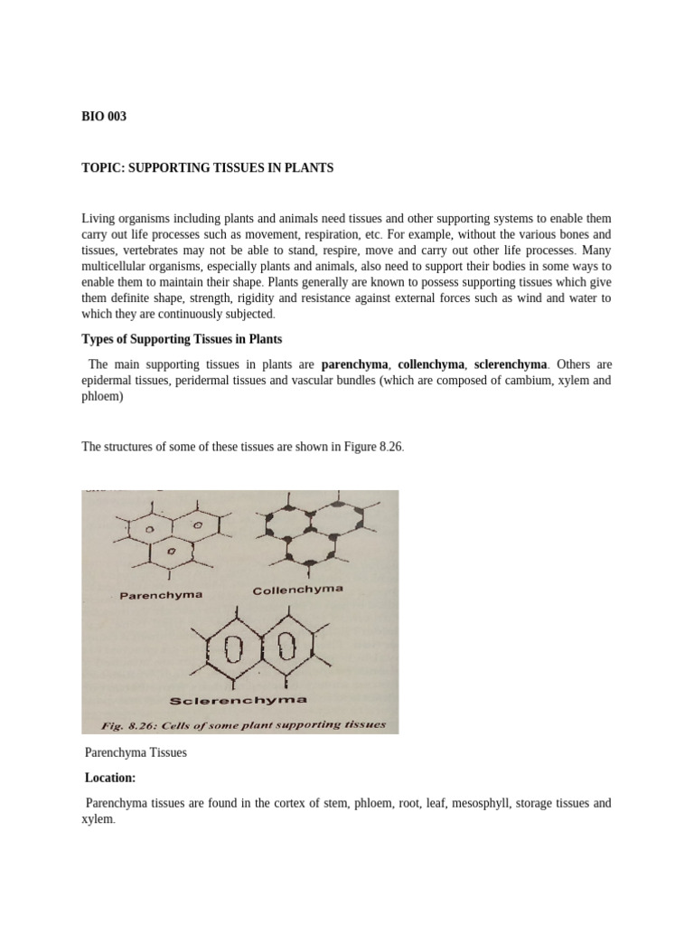 Functions of Plant Supporting Tissues | PDF | Tissue (Biology) | Plant Stem