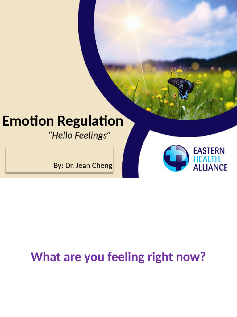 Understanding Emotion Regulation Techniques | PDF | Emotions | Anger