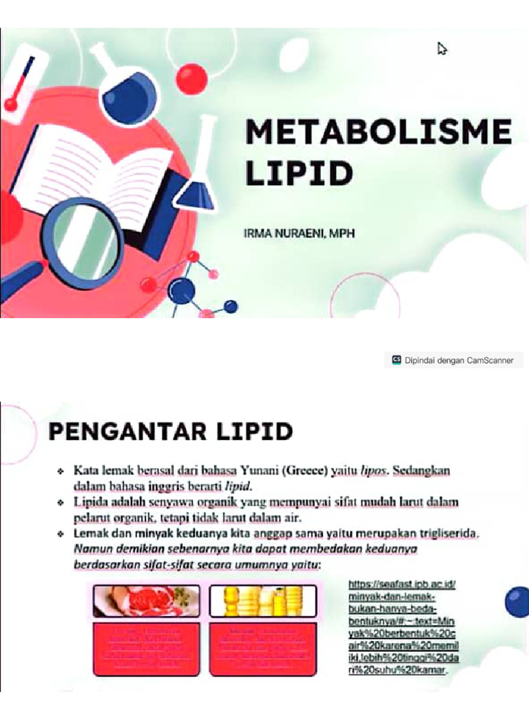 Metabolisme Lipid | PDF