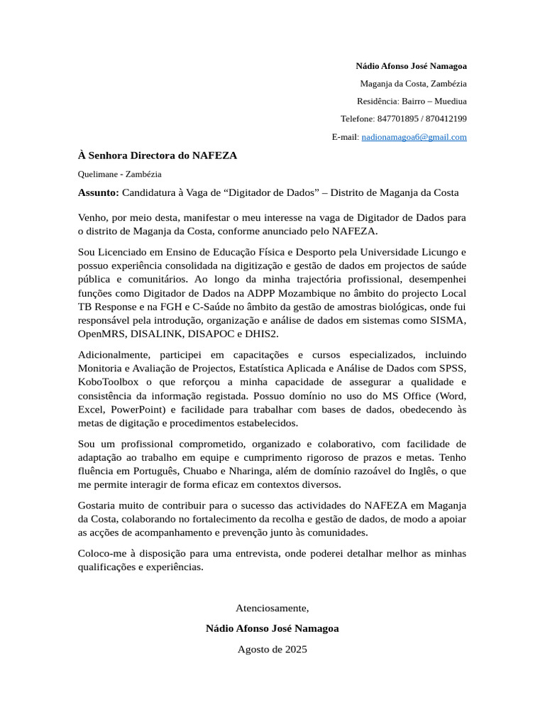 Candidatura a Digitador de Dados - NAFEZA | PDF