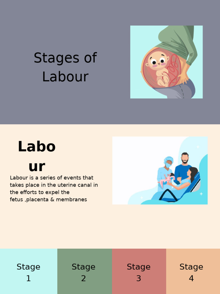 Stage of Labour | PDF | Childbirth | Human Pregnancy