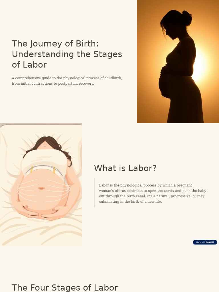 Stages of Normal Labor Explained | PDF | Childbirth | Human Reproduction