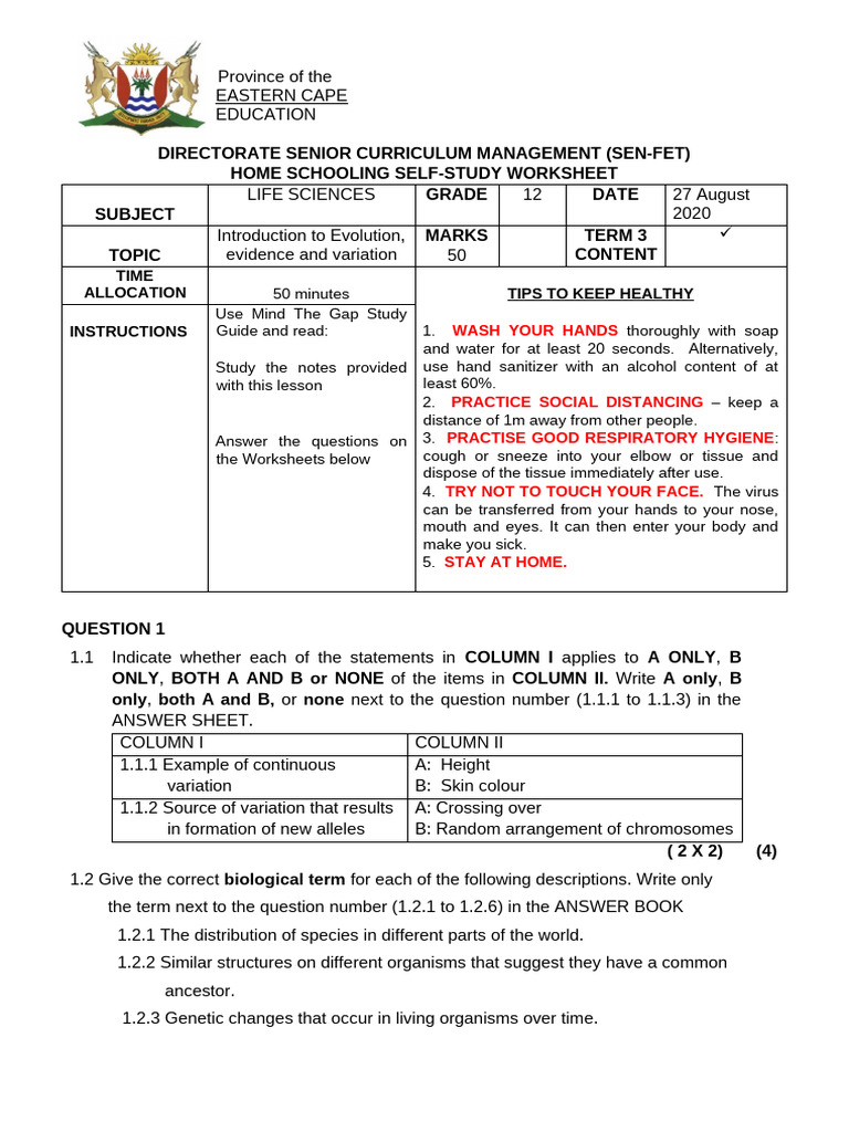 Grade 12 Evolution Worksheet PDF | PDF | Evolution | Fossil