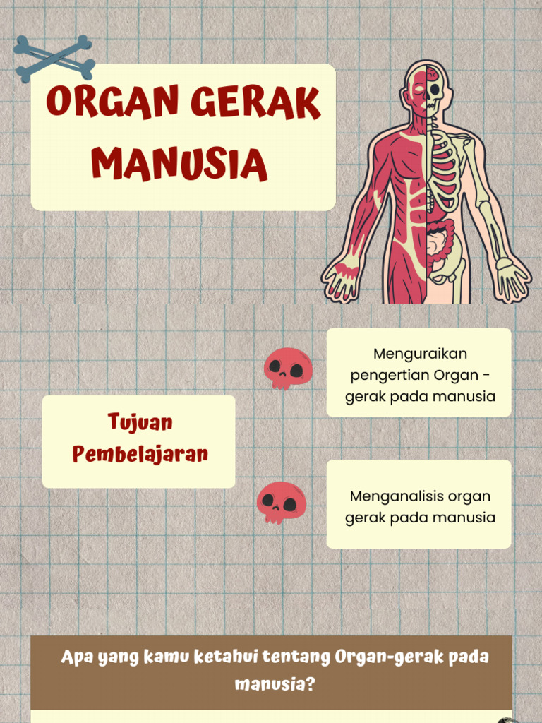 Organ Gerak Manusia Presentasi Materi Abu Abu Merah Coklat Biru Nude ...