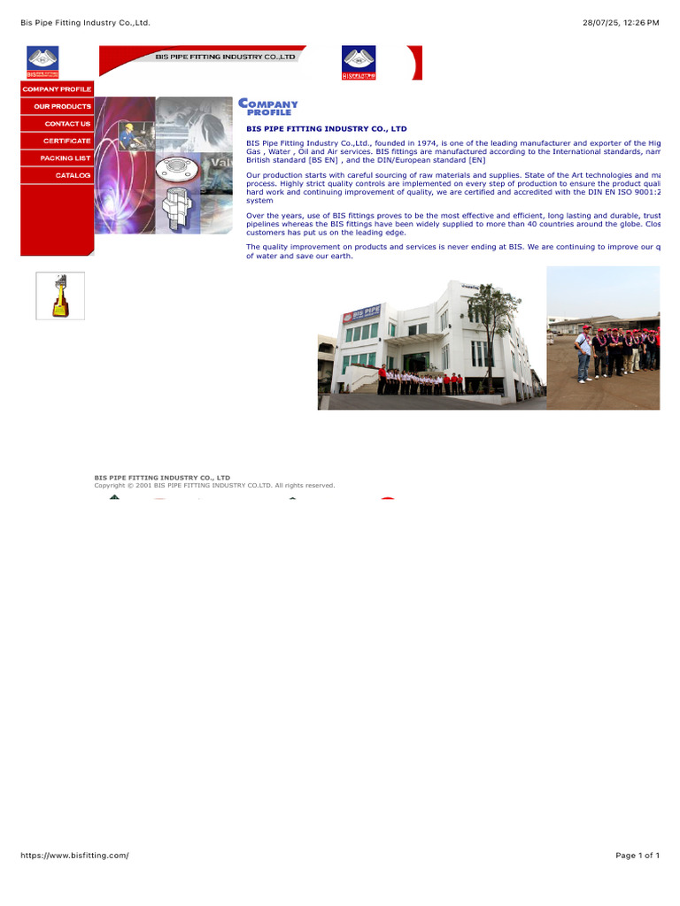 BIS Pipe Fitting Industry Overview | PDF