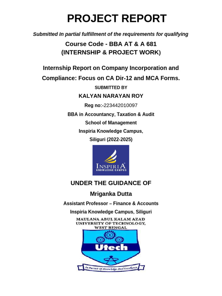 PROJECT REPORT Format For 6th Sem BBA ATA 13 - Removed | PDF ...