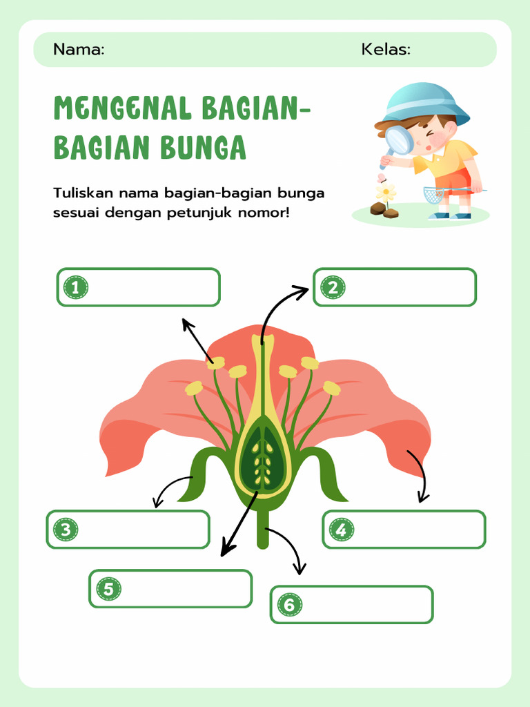 Mengenal Bagian-Bagian Bunga IPA Lembar Kerja Hijau Putih Ilustratif | PDF