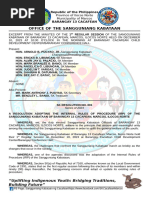 Videoke Curfew Ordinance 2024 | PDF | Local Ordinance | Government