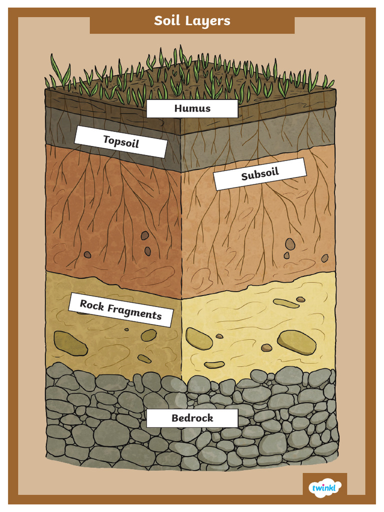 Au ST 1723275376 Soil Layers Display Poster Ver 1 | PDF