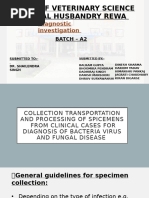 Technique For Collection of Blood Specimen From Poultry Bird (Chicken ...