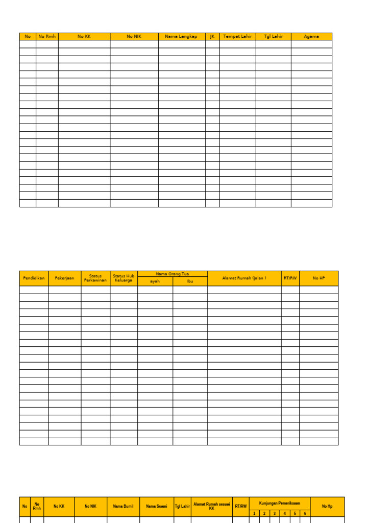 Format Data Sasaran Siklus Hidup Posyandu 2025 | PDF