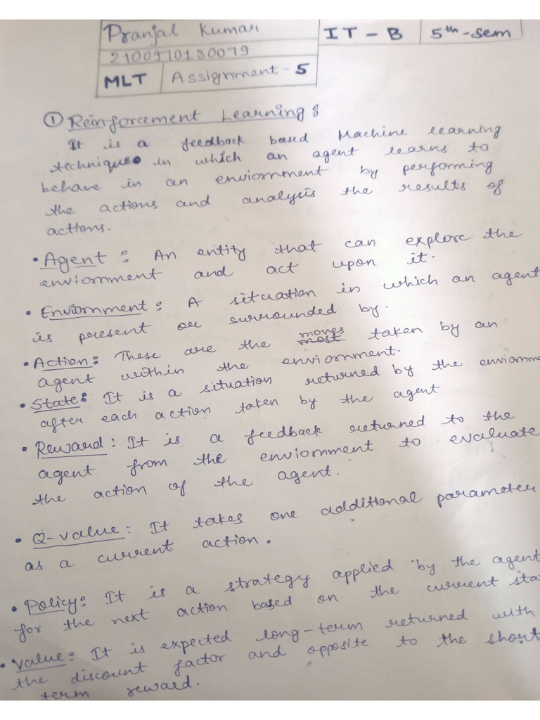 MLT 5th Assignment | PDF