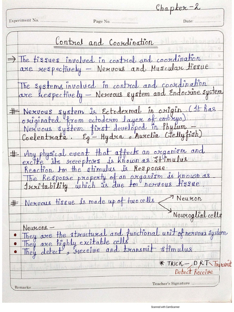 Control &coordination (Part1 - Nervous System) | PDF