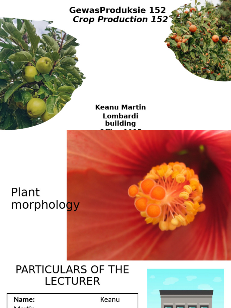 Lecture 1 - Introduction | PDF | Root | Botany