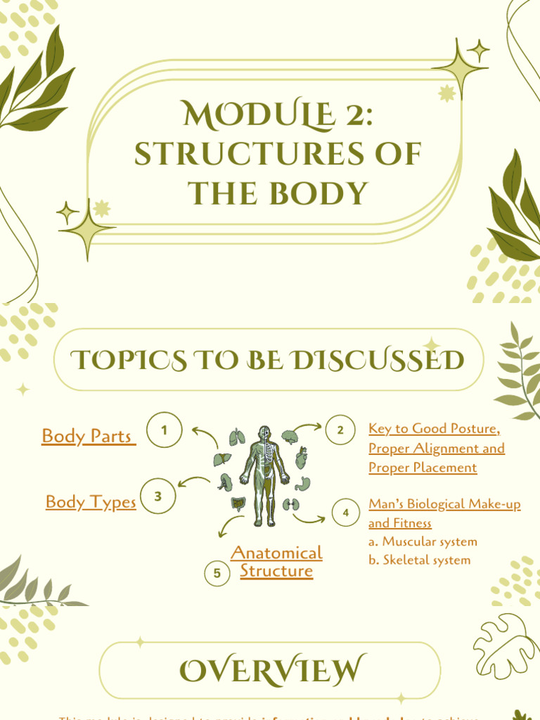 Structures of The Body PE01 | PDF | Muscle | Human Body