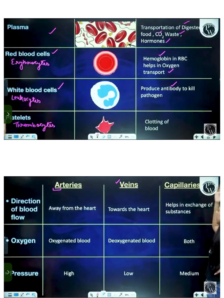Heart Flow Chart | PDF