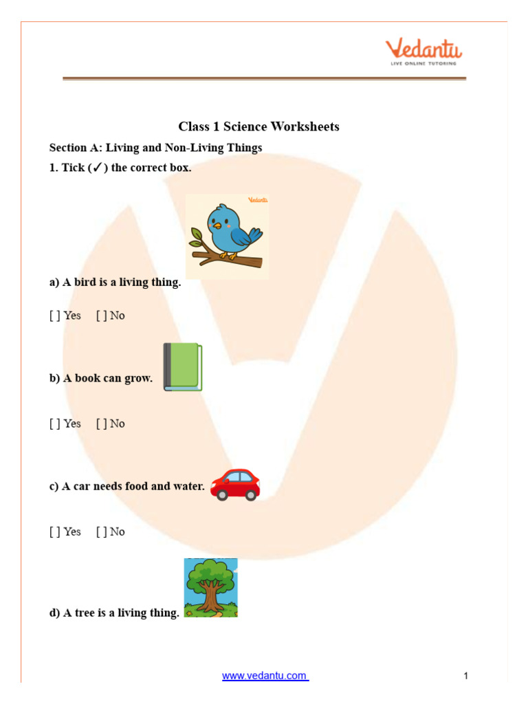 Class 1 Science Worksheets PDF - Free Printable Practice For Kids | PDF ...