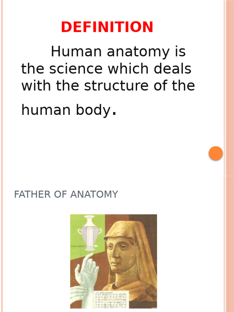 Intro To Human Body, Definition & Subdivisions of Anatomy | PDF ...