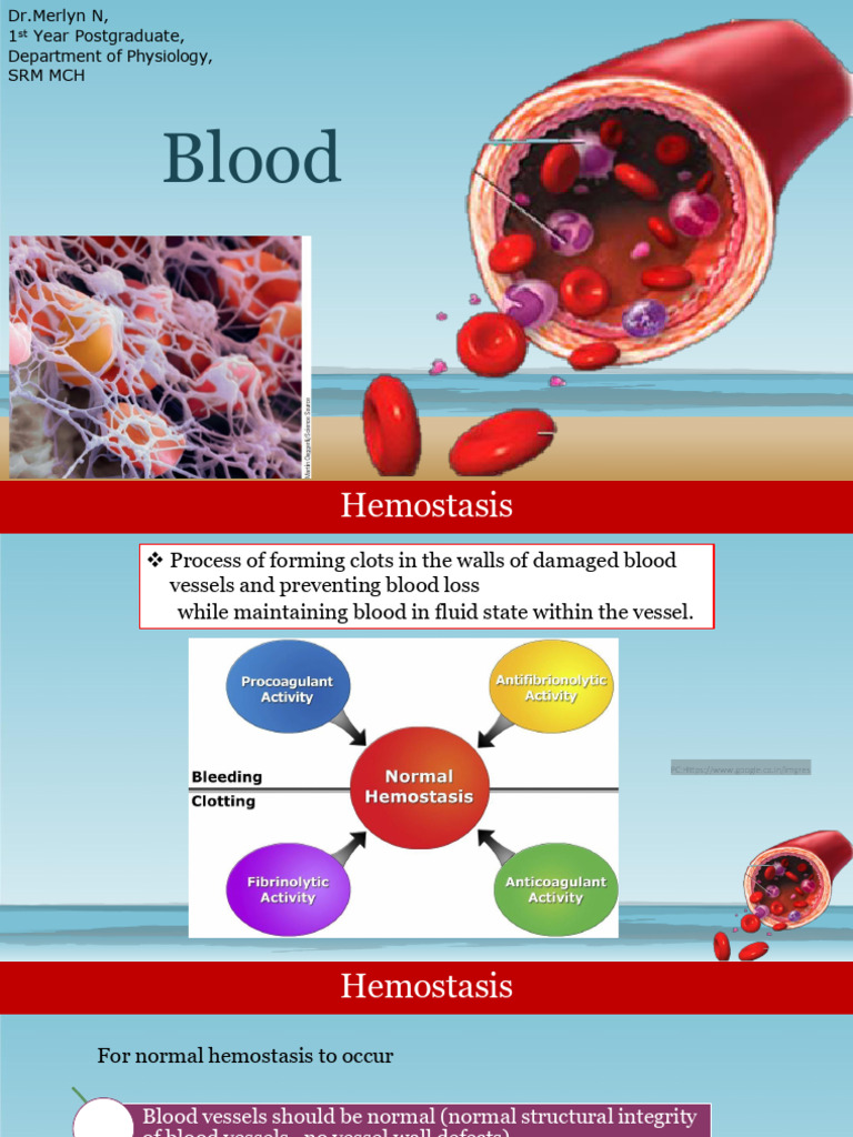Hemostasis: Key Steps and Calcium Role | PDF | Coagulation | Platelet