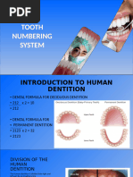 Dental Tooth Numbering Systems Explained | PDF | Dentistry | Dental Anatomy