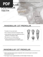 Permanent Mandibular 2nd Premolar | PDF | Dental Anatomy | Dentistry