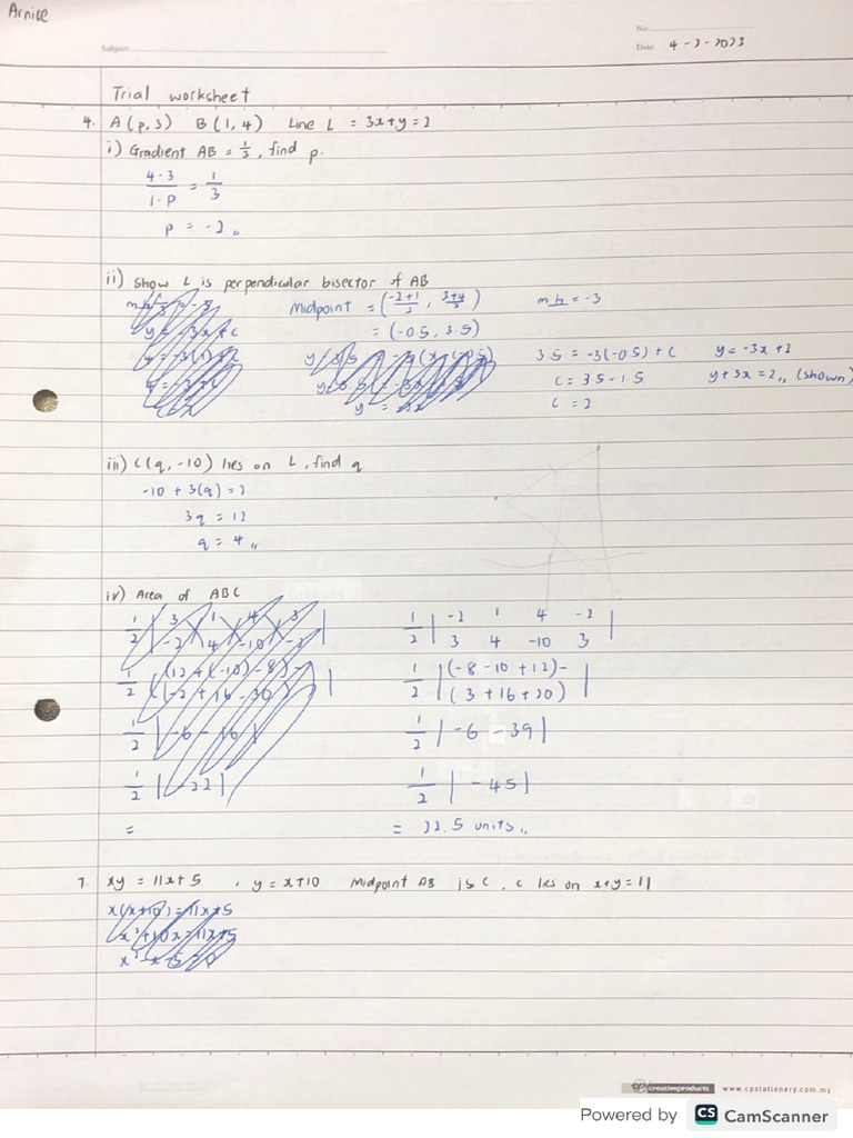 Trial Worksheet | PDF