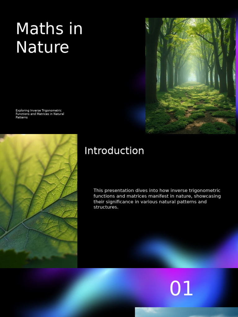 Math Patterns in Nature: Functions & Matrices | PDF | Matrix ...