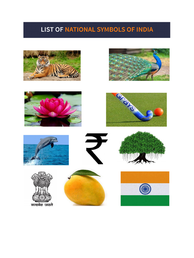 3rd - Our National Symbols | PDF