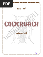 Morphology and Anatomy of Cockroach | PDF | Anatomy | Animal Anatomy
