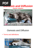 Video Recap of Osmosis by Amoeba Sisters Answer Set | PDF | Osmosis ...