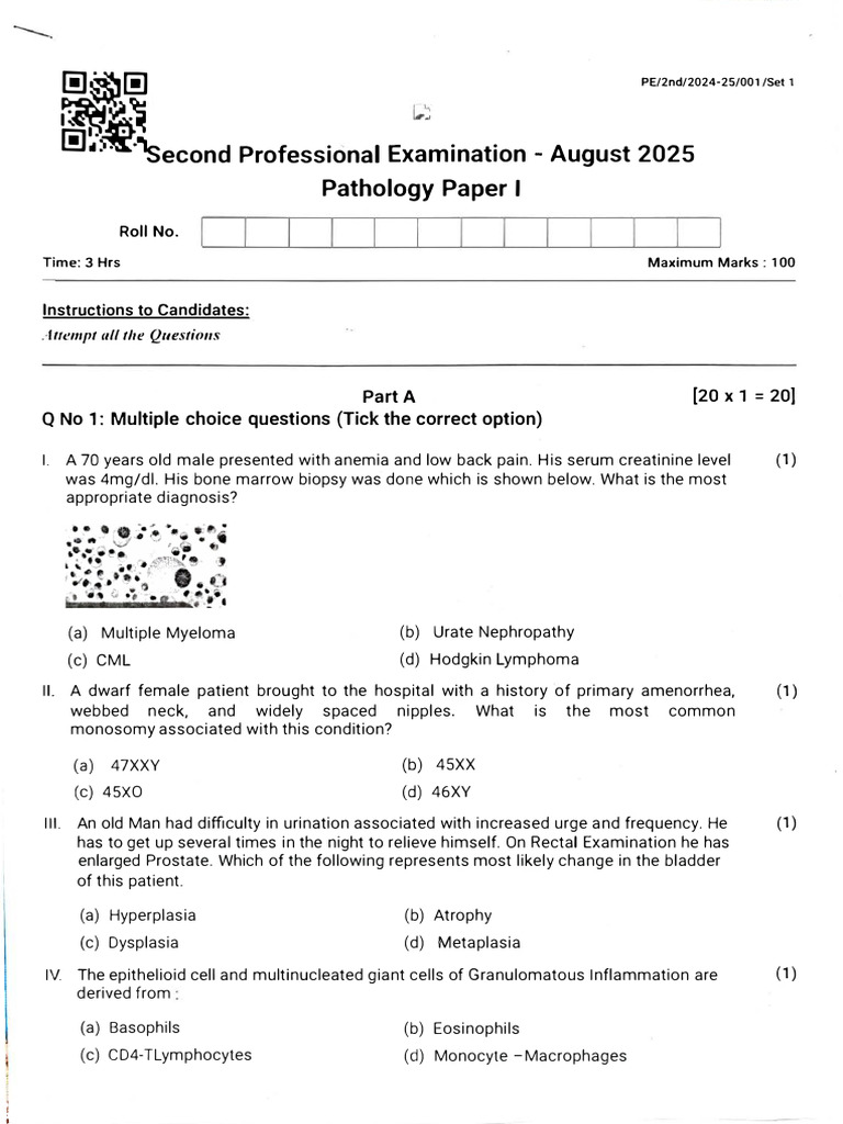 Pathology Exam Questions and Answers | PDF | Medical Specialties ...