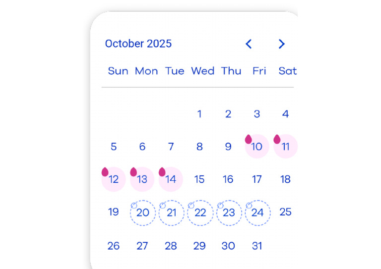 Period Calendar | PDF