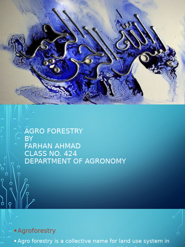 Farhan Presentation | PDF