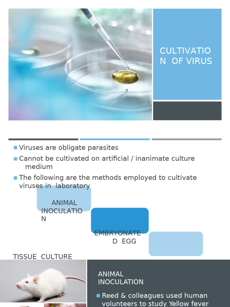 Cultivation of Virus | PDF | Cell Culture | Virus