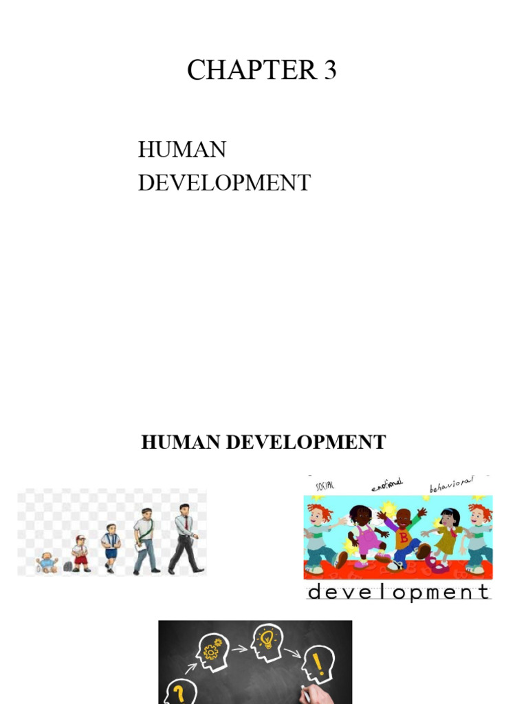 Chapter 3 - Human Development | PDF | Adolescence | Infants