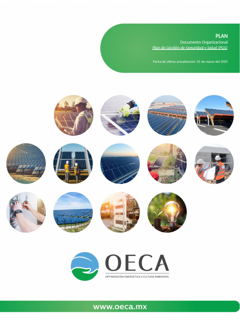 OECA-MX-ORG-H&S-PLN-01 - PGS | PDF | Valores | Seguridad y salud ...