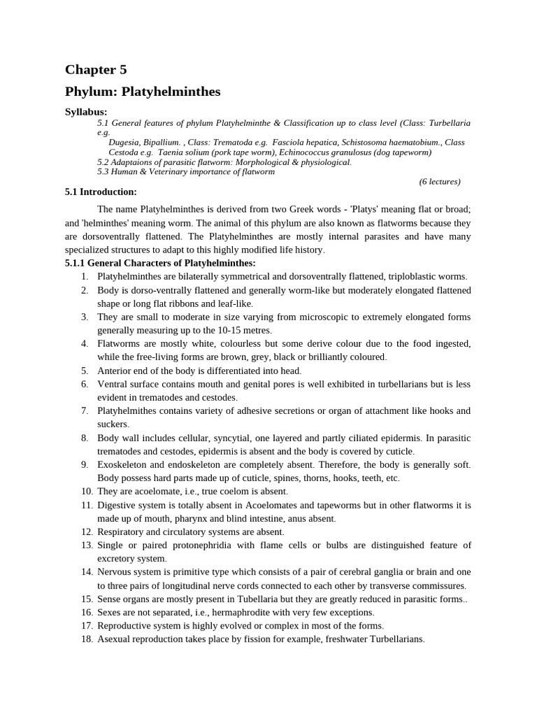 Invertebrate Zoology: Phylum Platyhelminthes | PDF | Biology