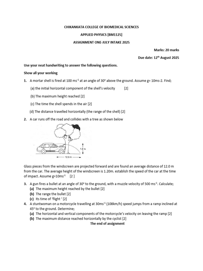 Physics Assignment | PDF