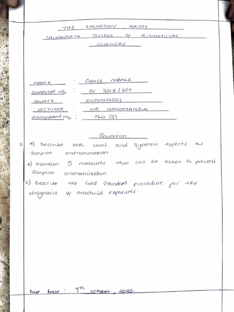 Assignment Grace | PDF