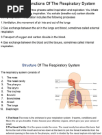 Draw Label Color Respiratory System | PDF