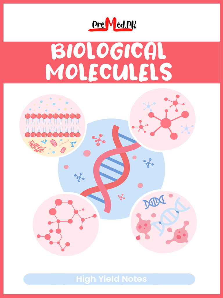 Overview of Bioelements in Biology | PDF | Carbohydrates | Polysaccharide