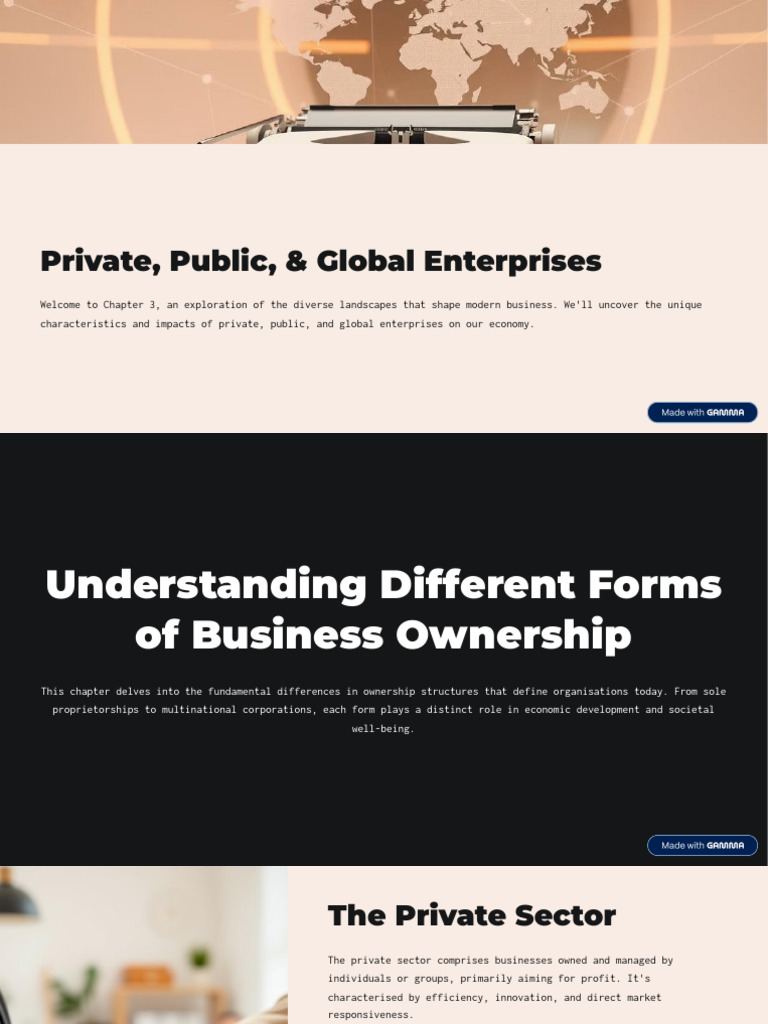 Private, Public, & Global Enterprises Explained | PDF | Innovation ...
