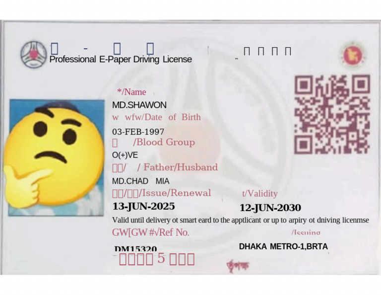 Professional E-Paper Driving License | PDF