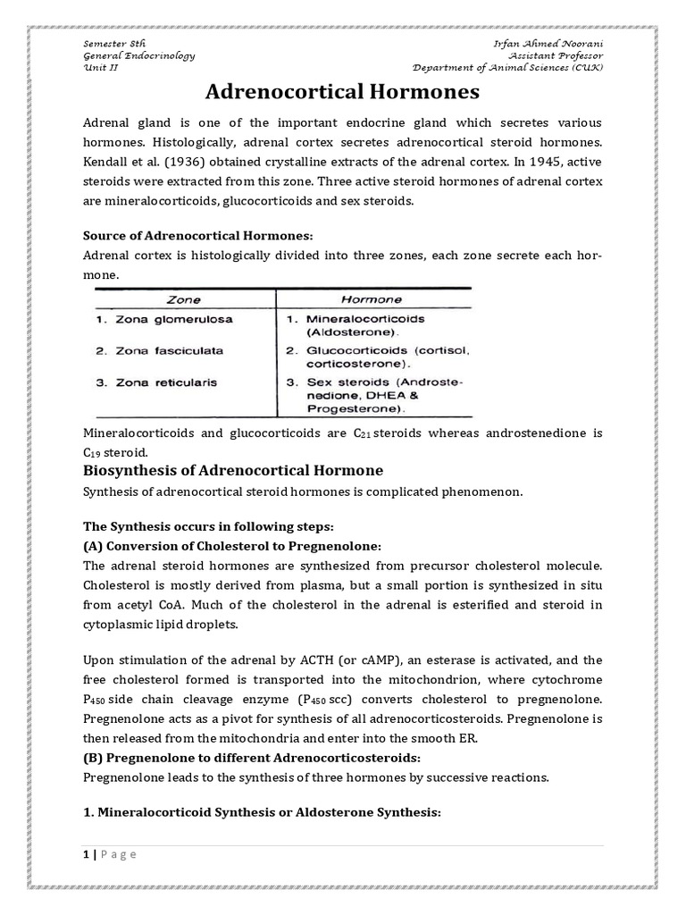 Biosynthesis of Adrenocorticoids | PDF | Adrenal Gland | Cortisol