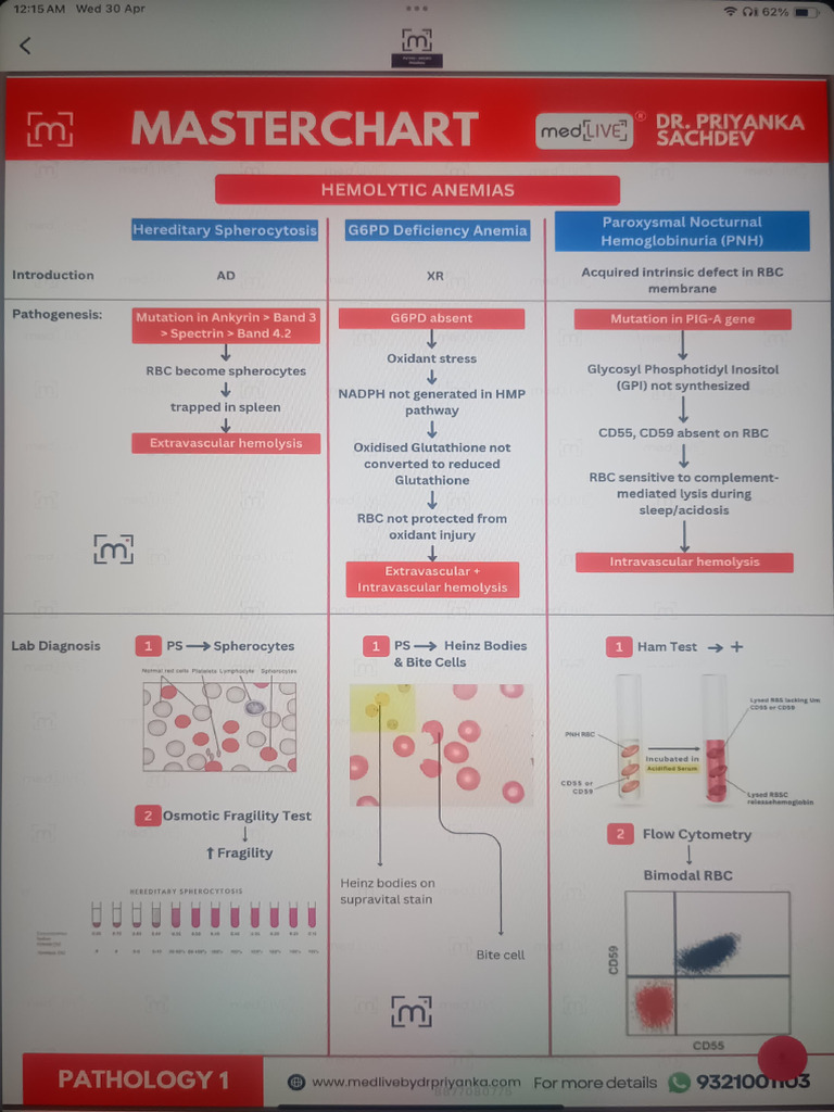 Pathology Masterchart - Priyanka Sachdev | PDF | Blood | Hematology